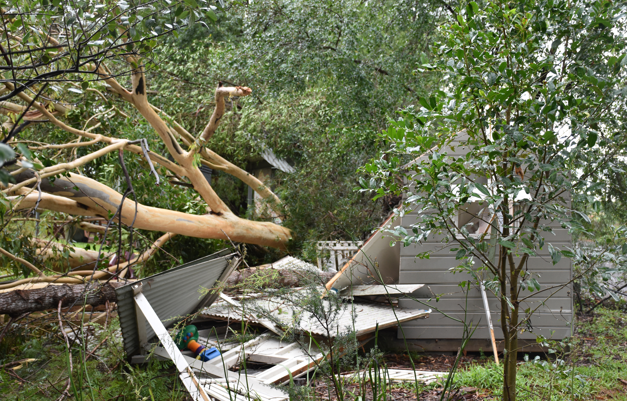 WILD STORM CLOSES BOTANIC GARDENS - Hunter Region Botanical Gardens